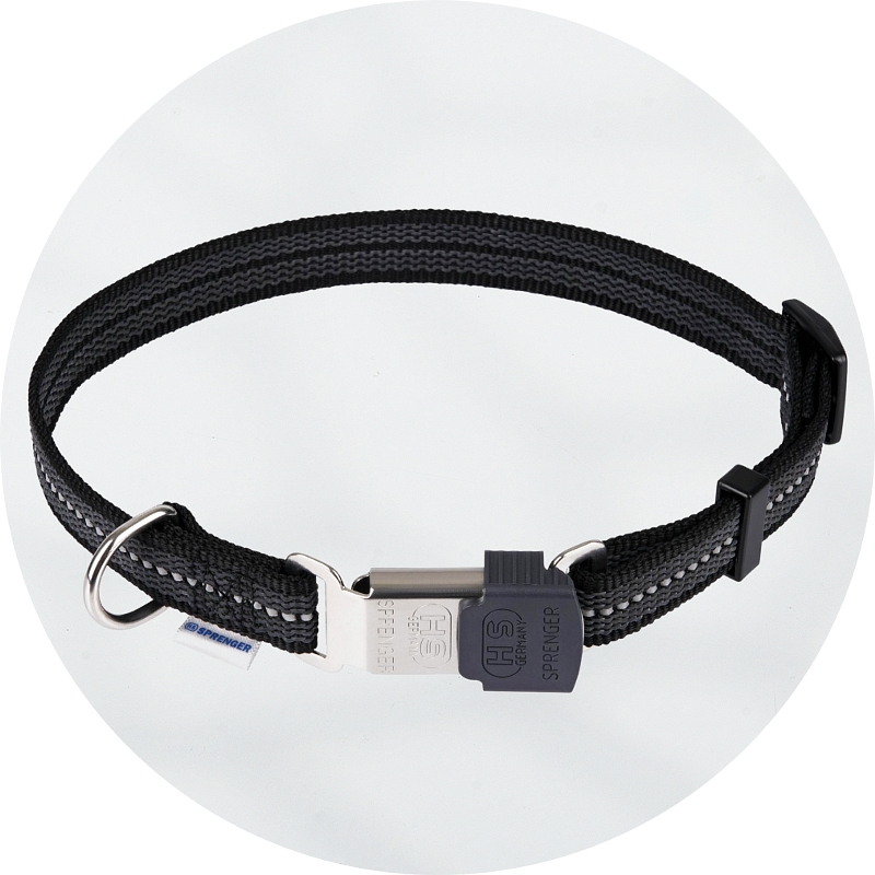 Nylon buckle collar store